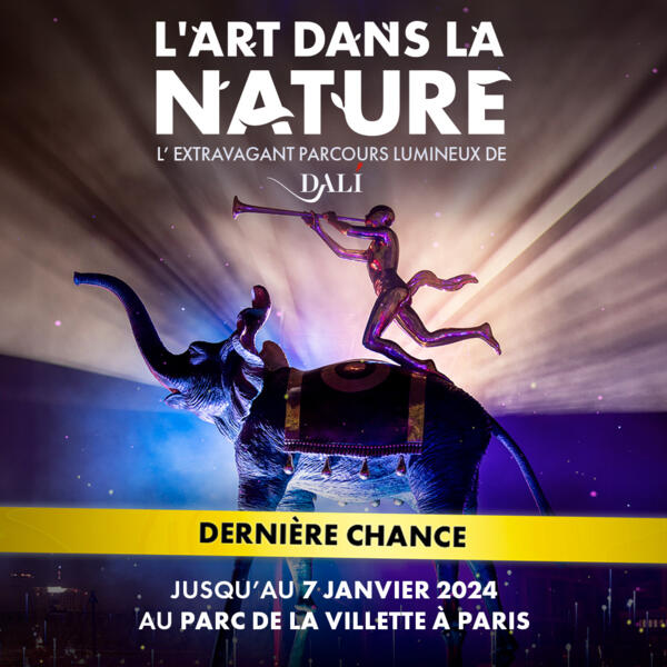 L'ART DANS LA NATURE